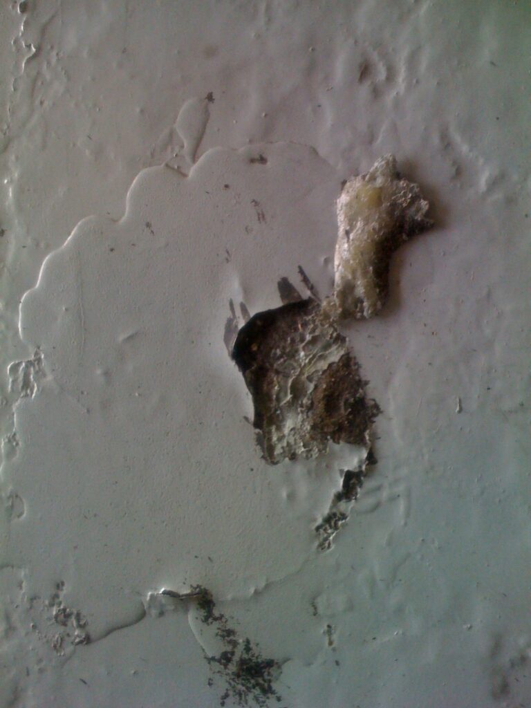 Improper Induction of Epoxy – Torginol Paints Inc.