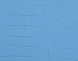 Mud Cracking – Torginol Paints Inc.