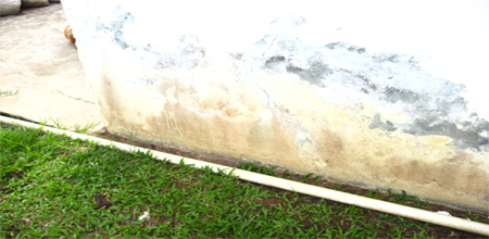 Rising Damp – Torginol Paints Inc.