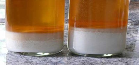 Settling – Torginol Paints Inc.