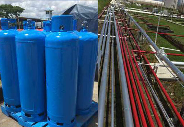 Rip- Off Paint Remover - Torginol Paints Inc.