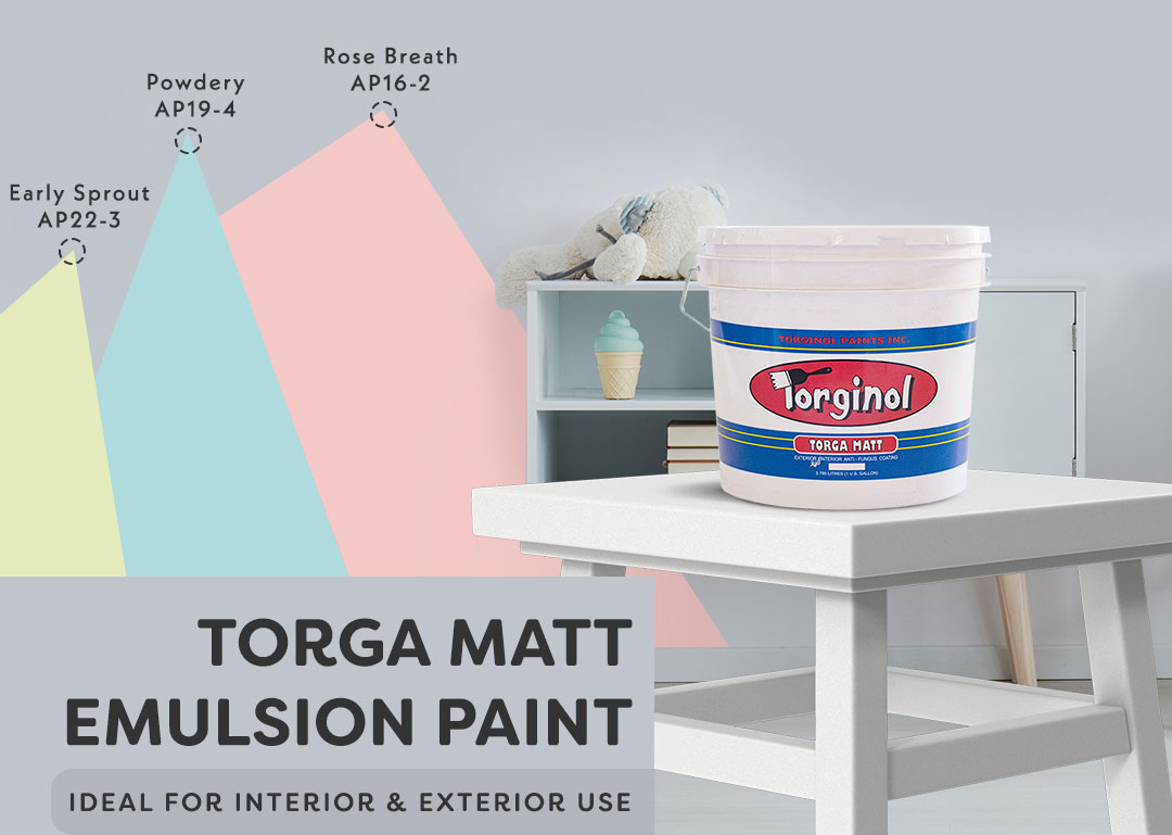Torginol Paint Chart